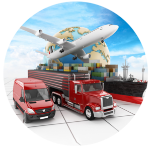 Import Export Agent in India for International Trade- Rexxport